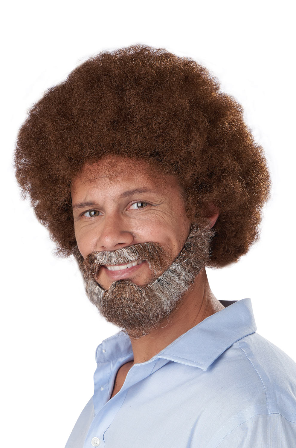 Joyful Painter Adult Wig Beard and Moustache - PureCostumes.com