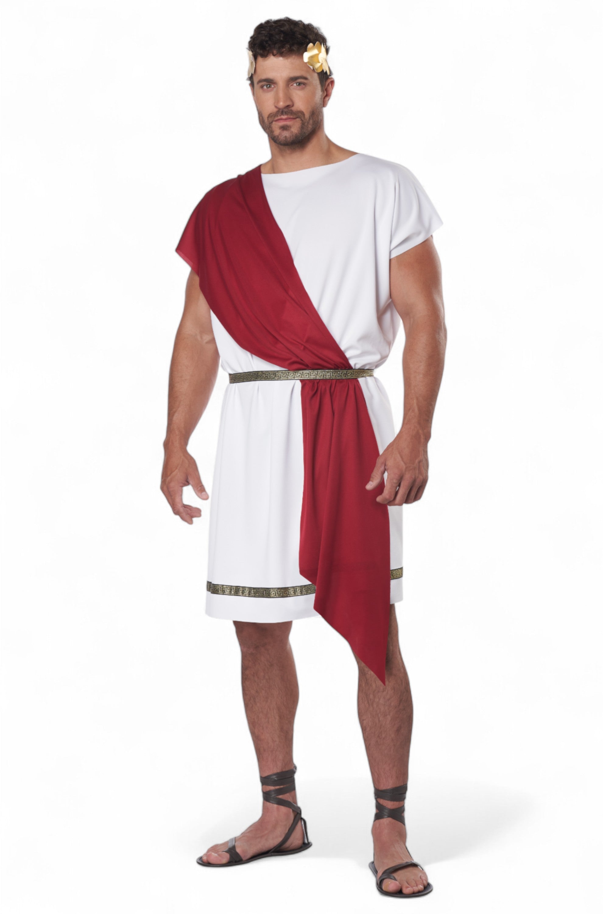 Party Toga Plus Size Costume - PureCostumes.com