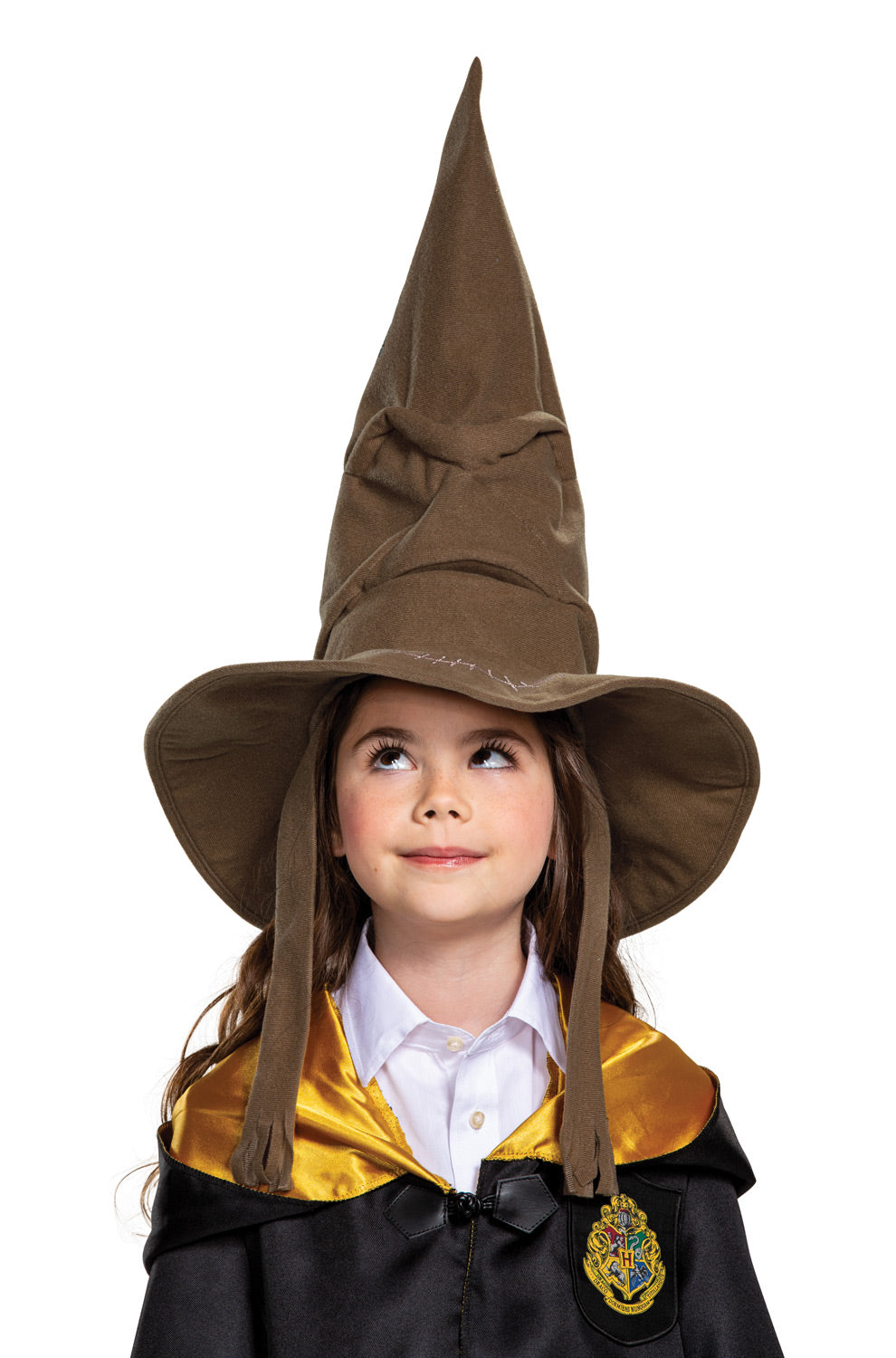 Sorting Hat Classic Accessory - PureCostumes.com