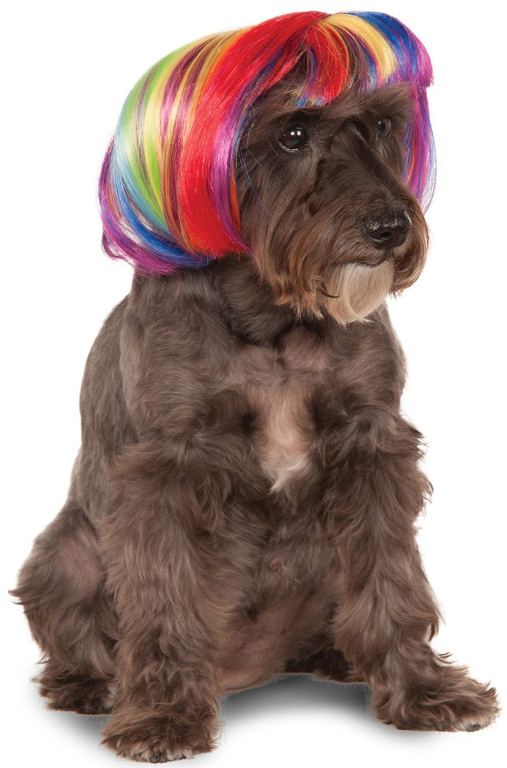 Rainbow Bob Pet Wig - PureCostumes.com