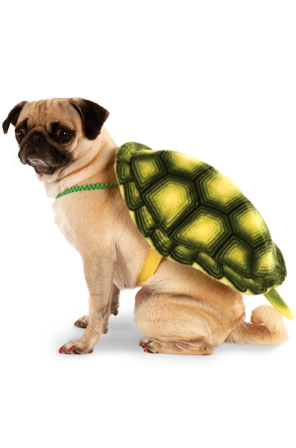 Turtle Shell Pet Costume - PureCostumes.com