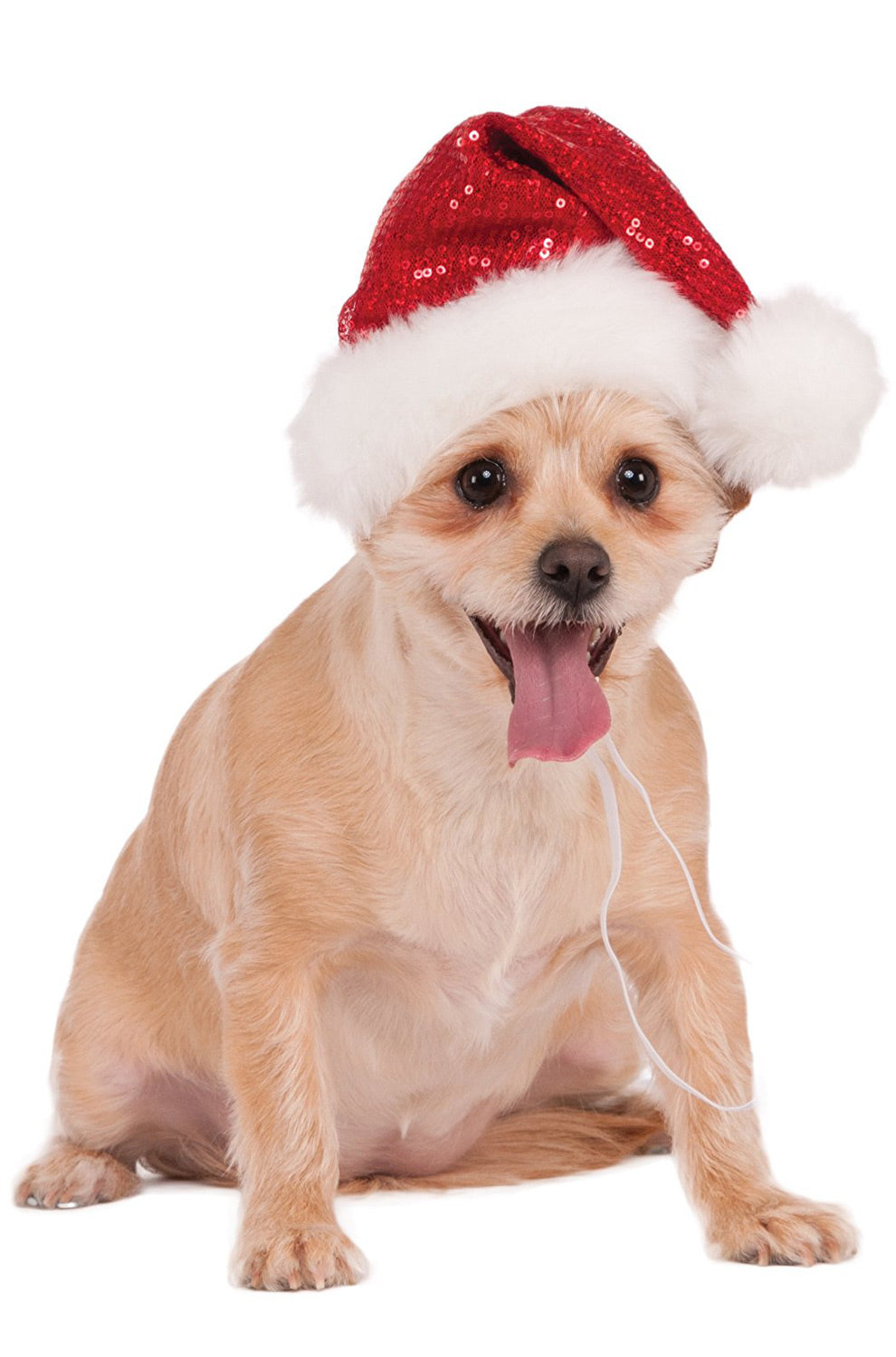 Red Sequin Hat Pet Costume - PureCostumes.com