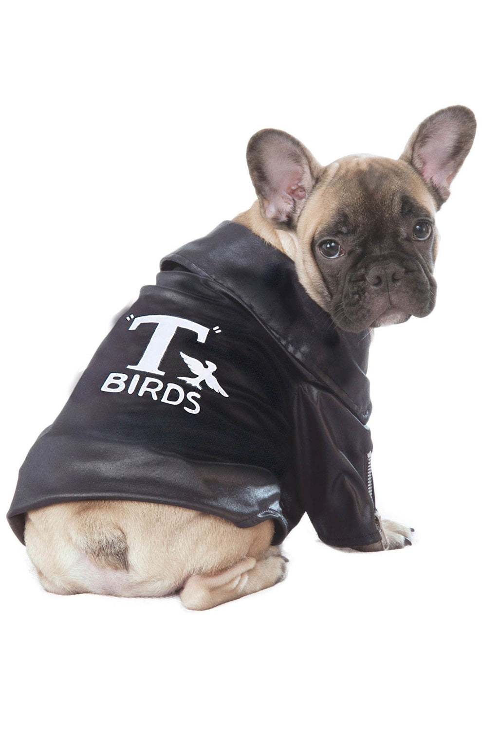 T-Birds Jacket Pet Costume - PureCostumes.com